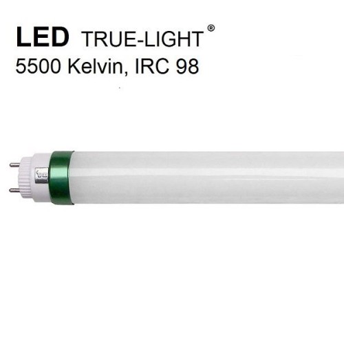 Tube LED TRUE-LIGHT T8 - 30W - 1500mm - 5500K - IRC98