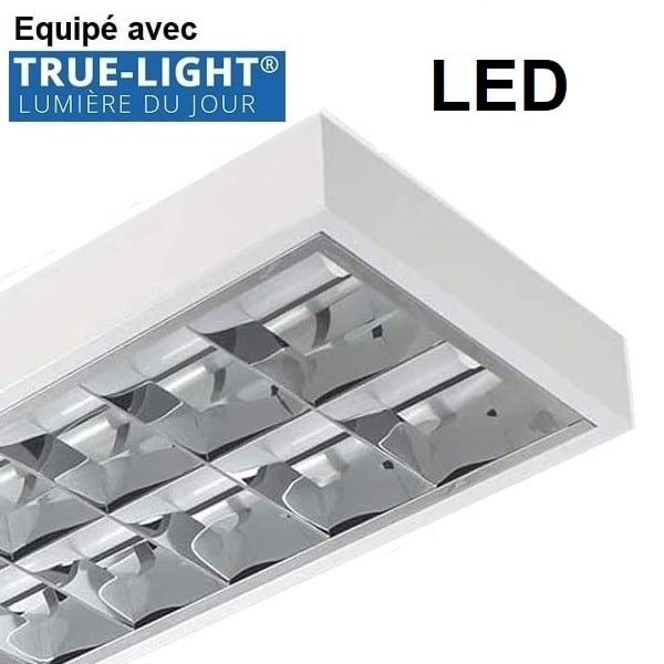 Luminaire LED 120cm livré avec 2 tubes TRUE-LIGHT 5500K IRC98
