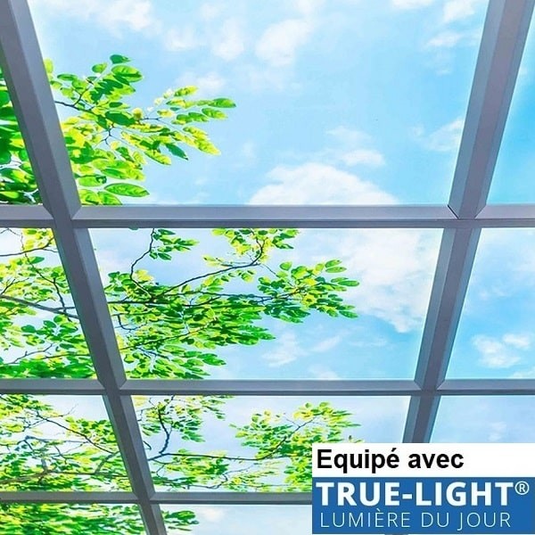 EVASION Premium - plafond lumineux LED haut de gamme - 5500K IRC 98