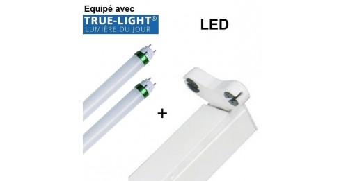 Réglette LED T8 double équipée avec 2 tubes TRUE-LIGHT lumière du jour