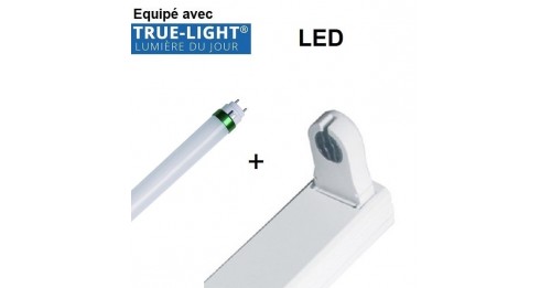 Réglette LED T8 60cm équipée avec tube LED TRUE-LIGHT 5500K IRC98