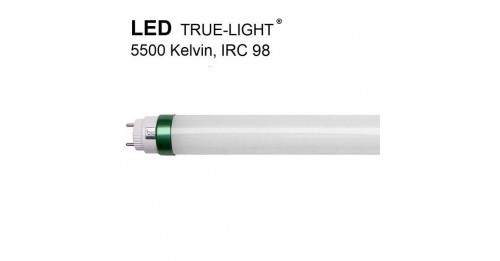 Tube LED TRUE-LIGHT T8 - 8W - 44cm - 5500K - IRC98